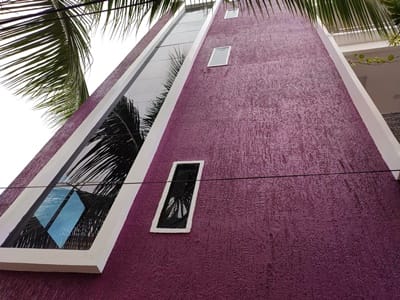 Violet External Texture Painting